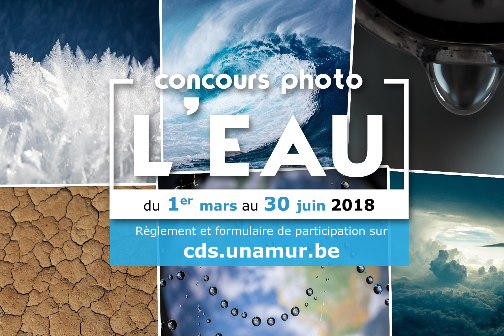 Concours photo | Sciences.be